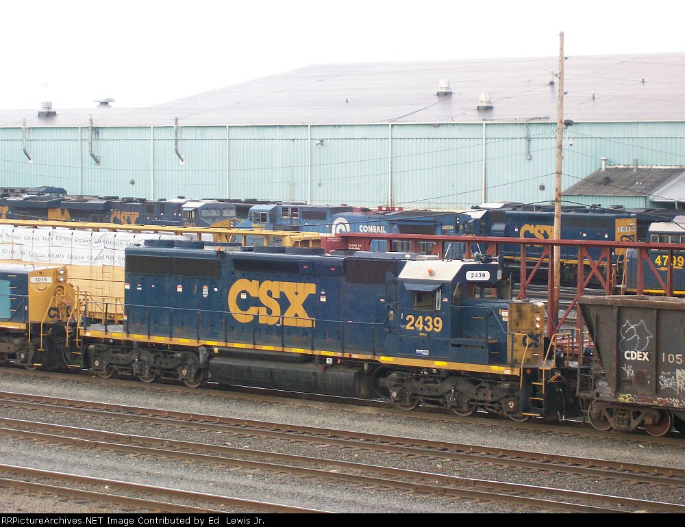 CSX 2439